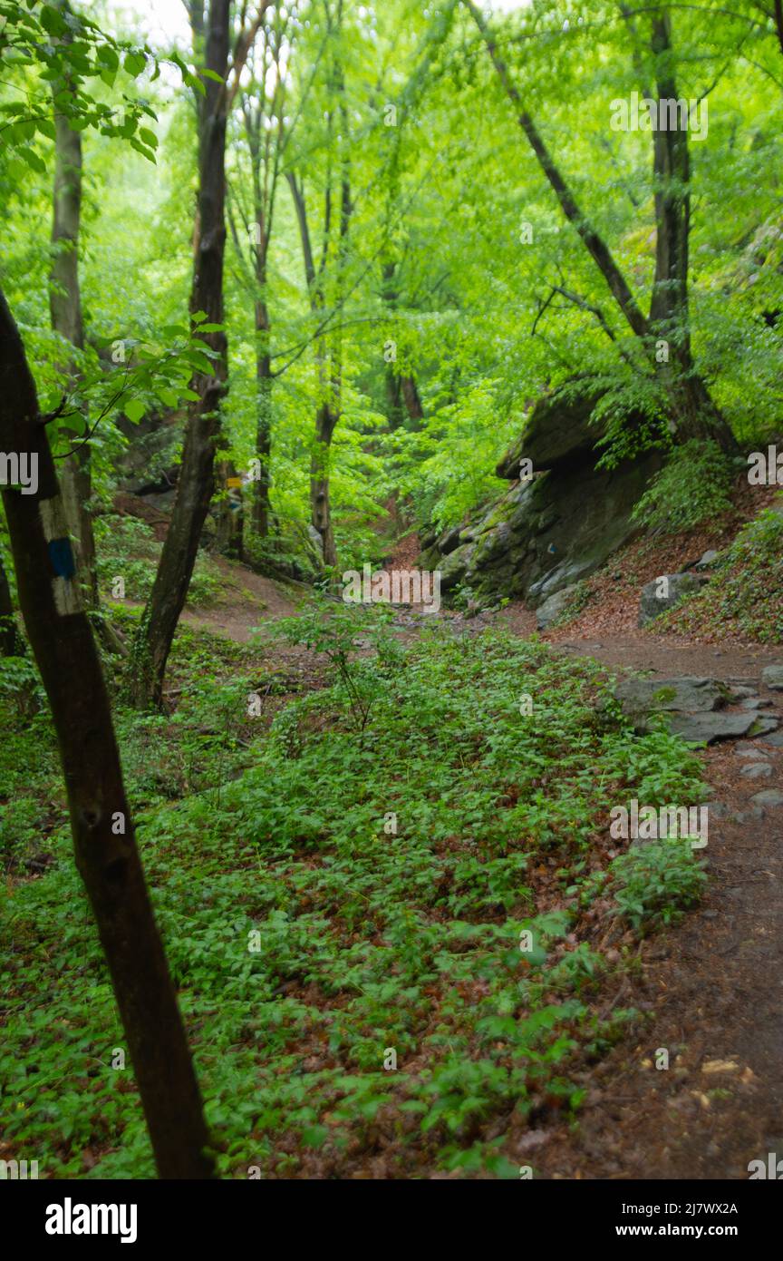 The varied route over the Vogelbergsteig to the historic Dürnstein ...