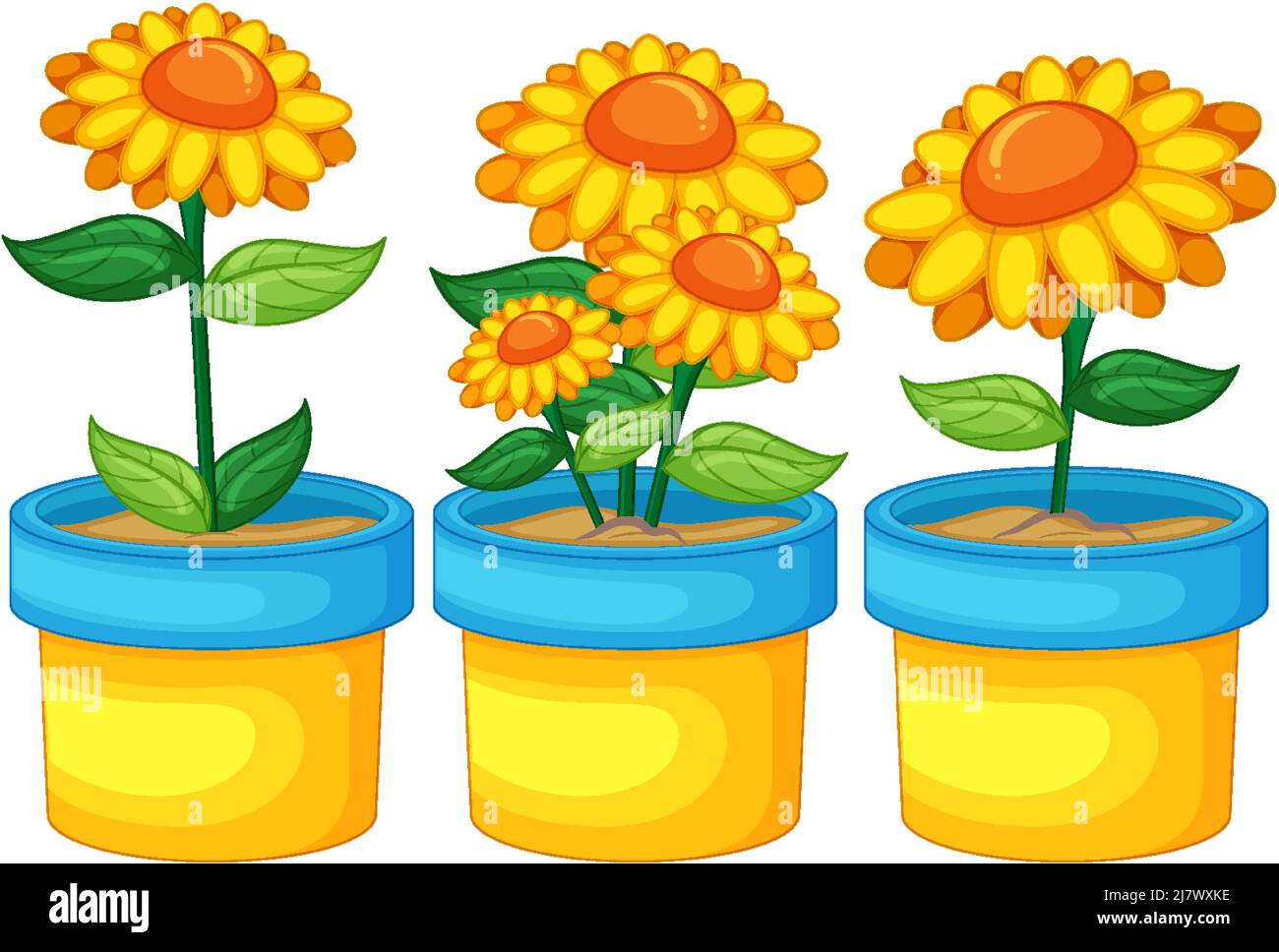Yellow flowers in a pot in cartoon style illustration Stock Vector ...