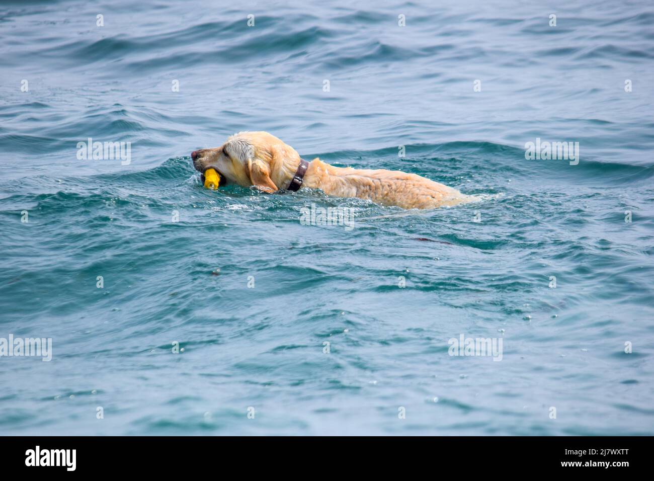 Vault Beach 290422 Stock Photo - Alamy