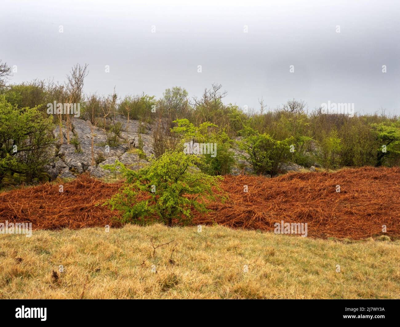 Hutton roof hi-res stock photography and images - Alamy