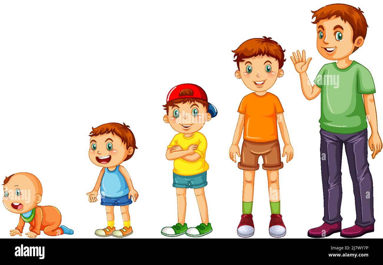 Stages of human growth illustration Stock Vector Image & Art - Alamy