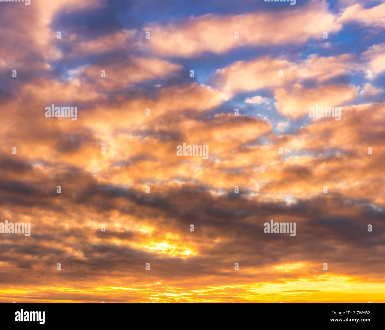 Colorful dramatic clouds lit by a sun against the sunset or sunrise sky ...