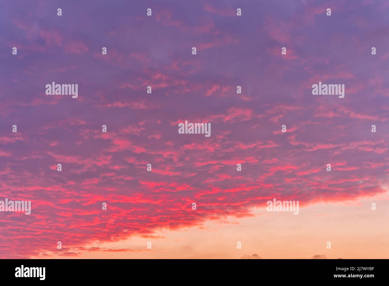 Colorful dramatic clouds lit by a sun against the sunset or sunrise sky ...