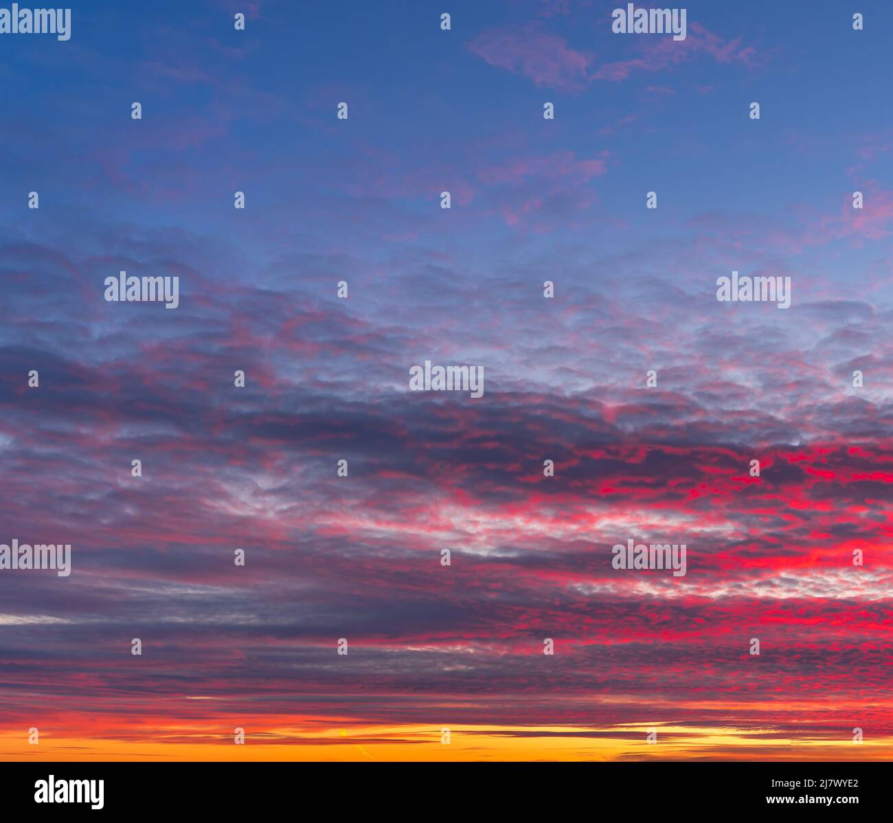 Colorful dramatic clouds lit by a sun against the sunset or sunrise sky ...