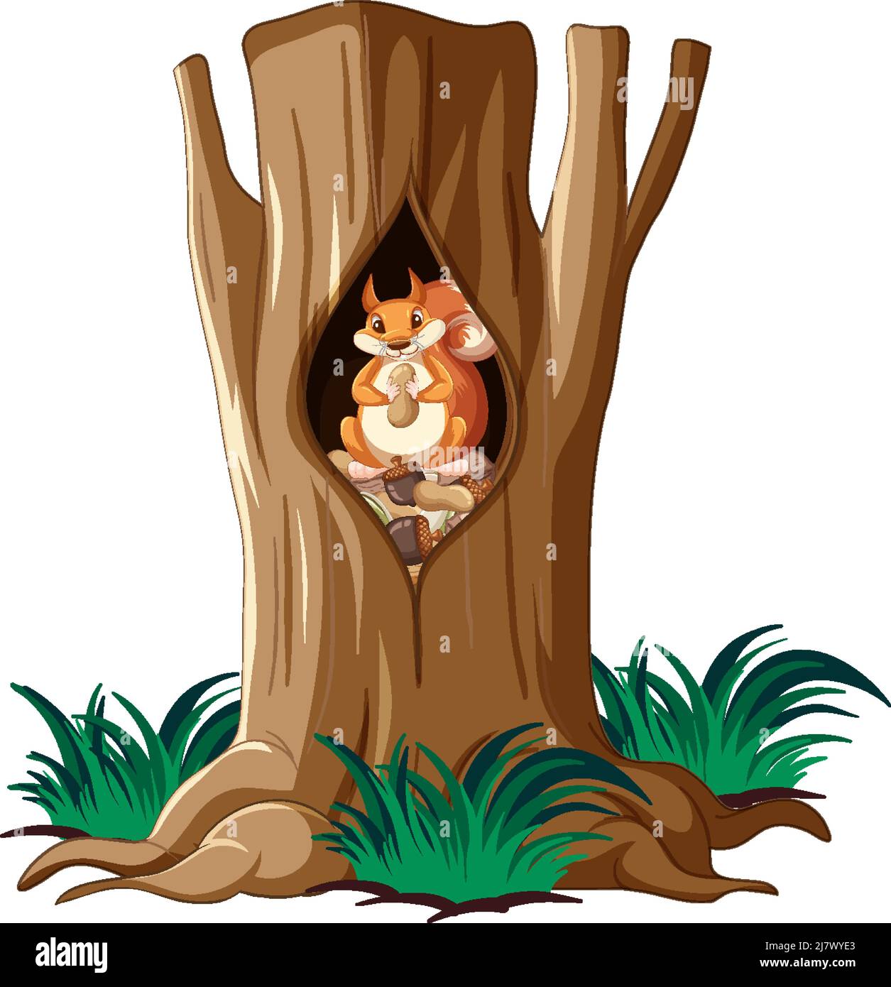 Cute squirrel eating nuts in hollow illustration Stock Vector Image ...
