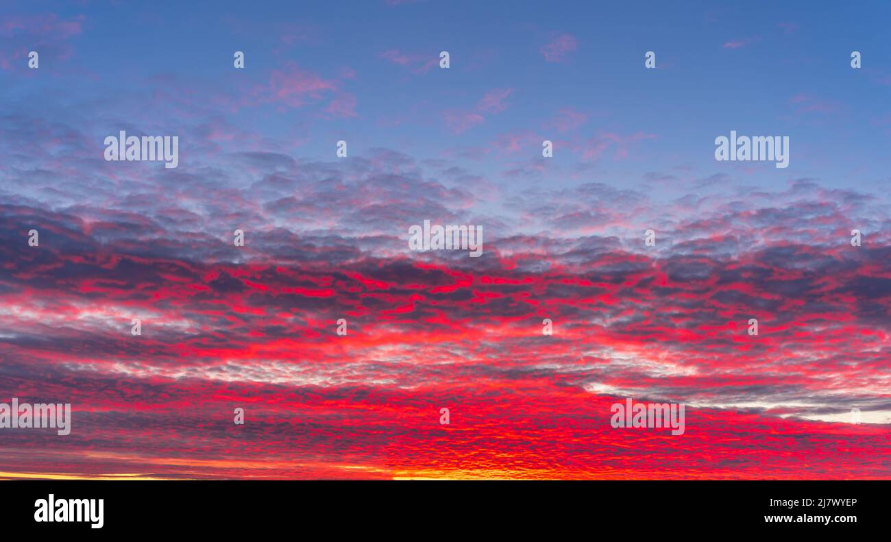 Colorful dramatic clouds lit by a sun against the sunset or sunrise sky ...