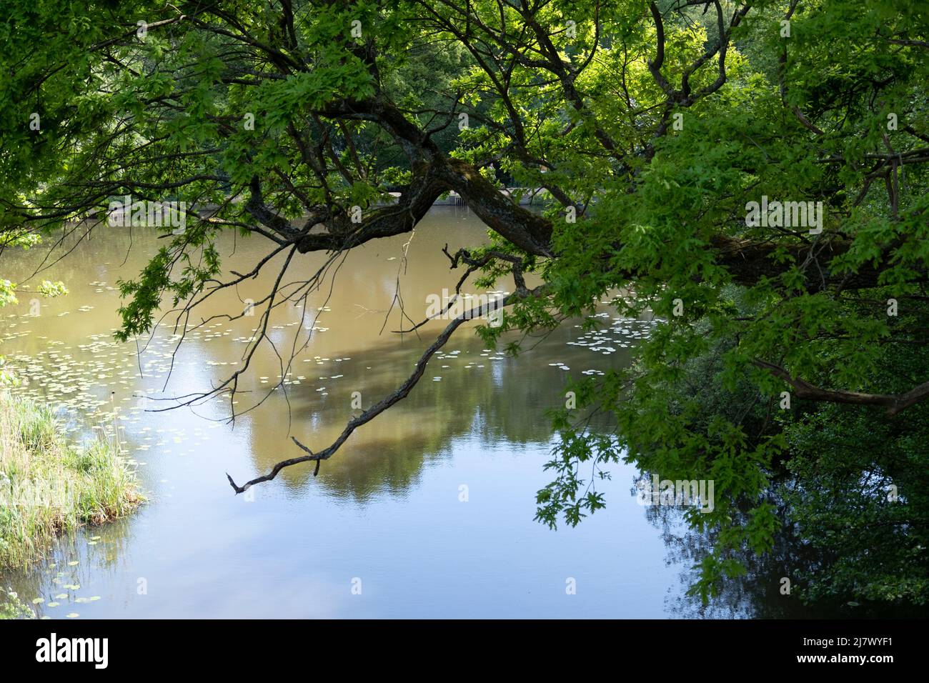 Hampstead heat hi-res stock photography and images - Alamy