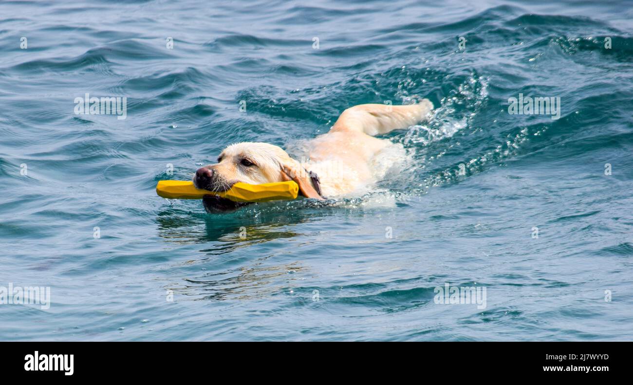 Vault Beach 290422 Stock Photo - Alamy