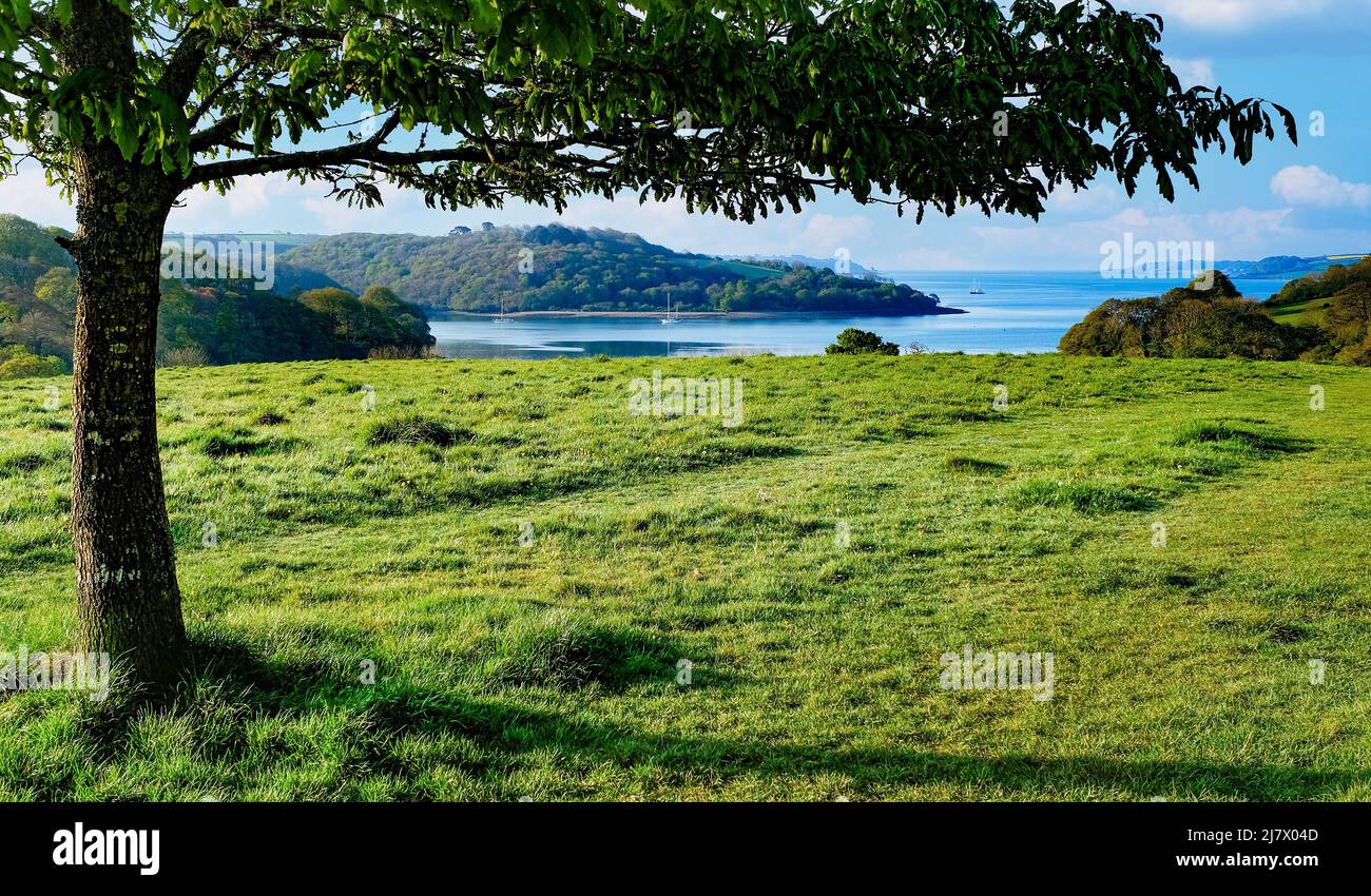 Beautiful views across the river fal in cornwall england Stock Photo ...