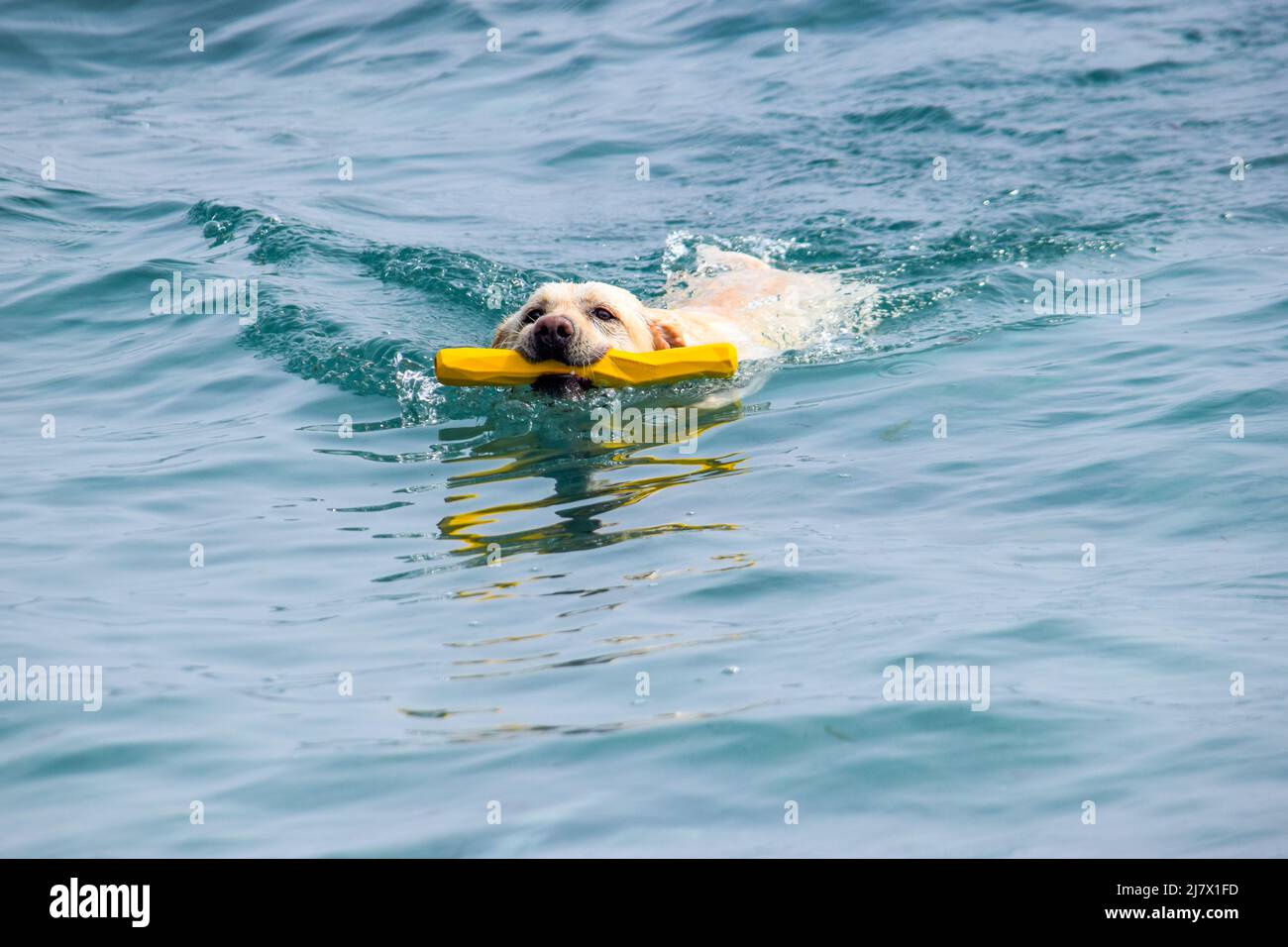 Vault Beach 290422 Stock Photo - Alamy