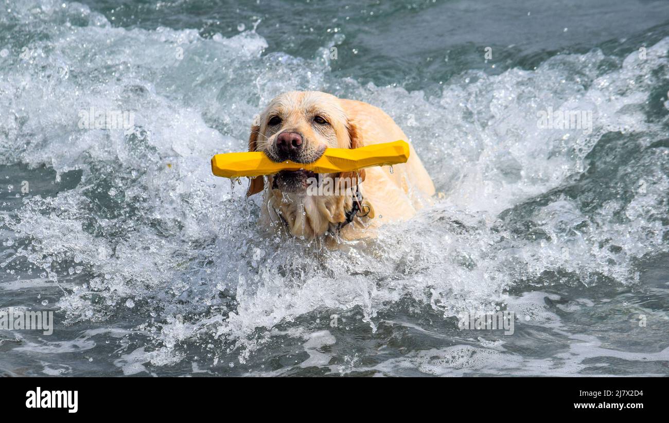 Vault Beach 290422 Stock Photo - Alamy