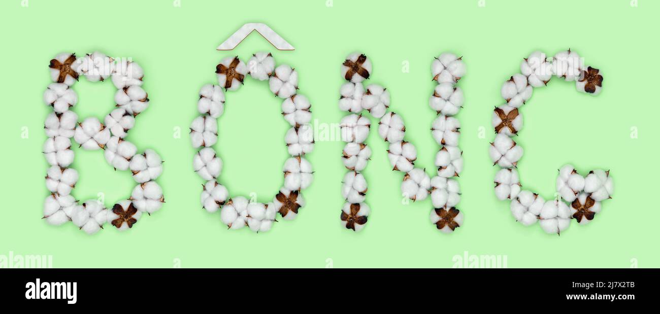 Word bong from Vietnamese language means cotton, made of cotton flowers ...