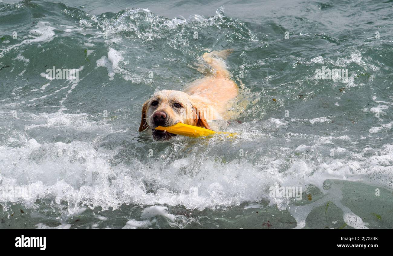 Vault Beach 290422 Stock Photo - Alamy