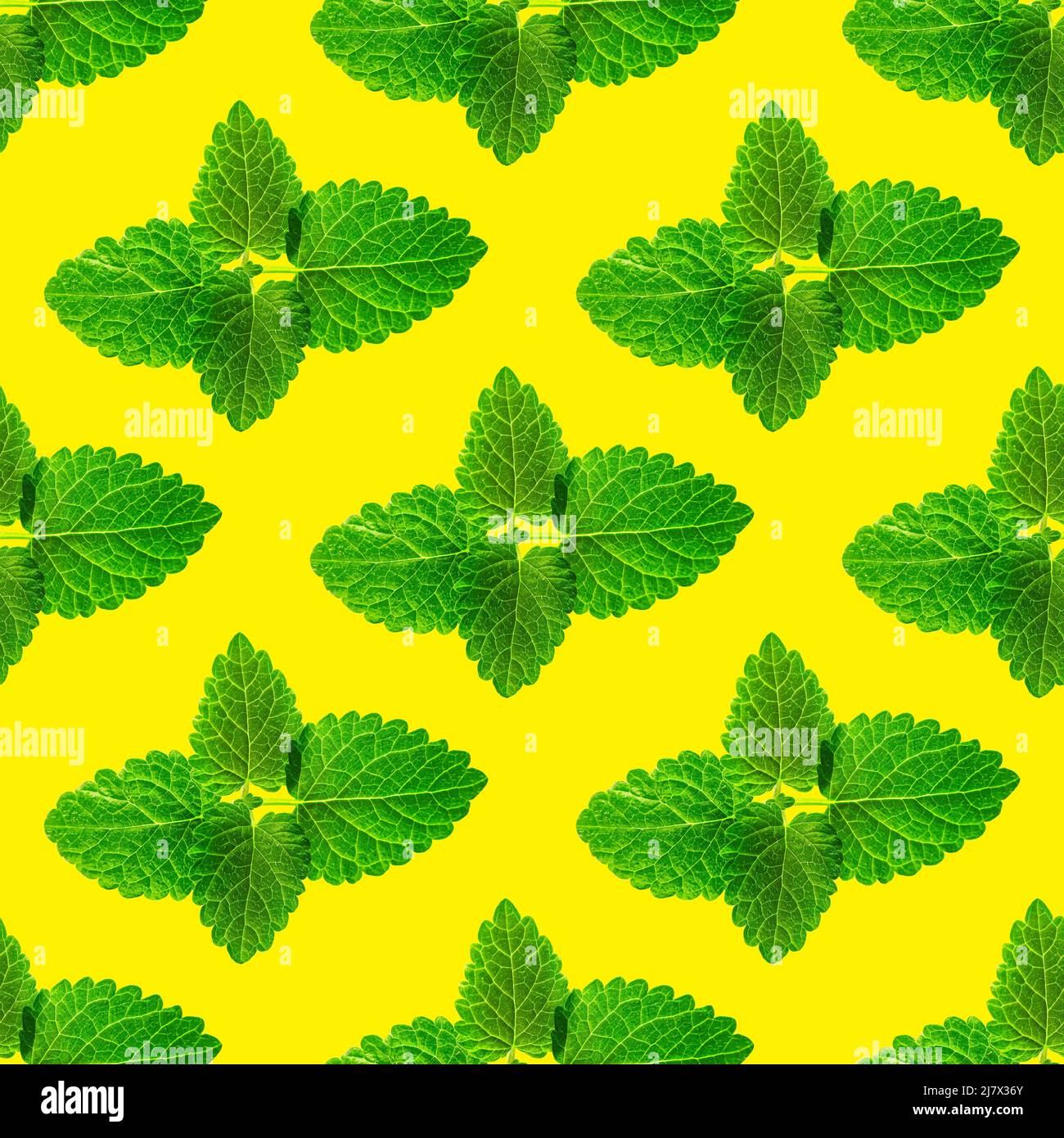 Seamless pattern of fresh mint leaves on yellow background Stock Photo ...