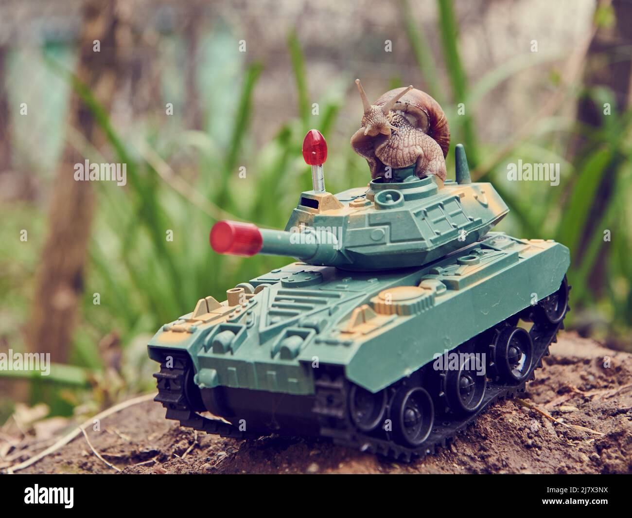 A series of photos of one day in the life of snails.A large garden ...