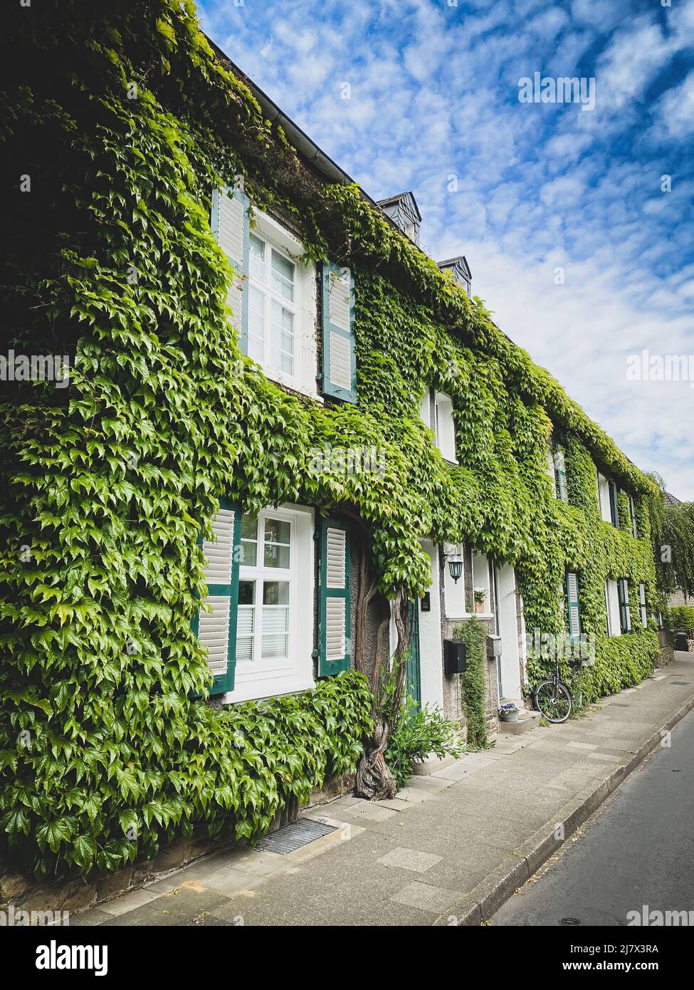 Settlement House Movement