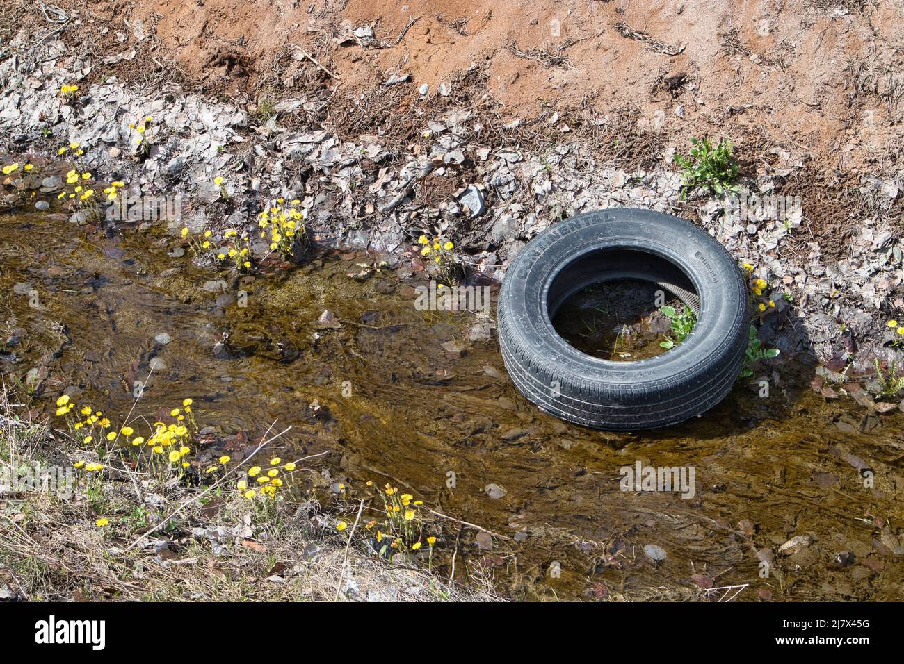 car tyre dumped in a ditch Stock Photo - Alamy