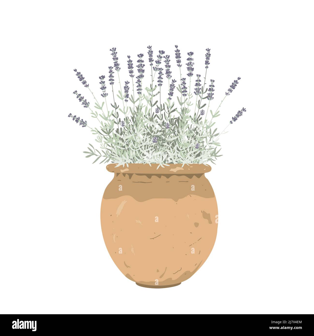 Provence garden france Stock Vector Images - Alamy