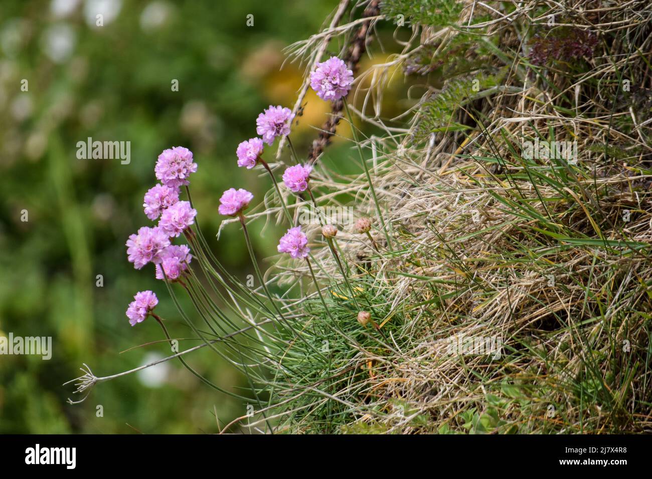Vault Beach 290422 Stock Photo - Alamy