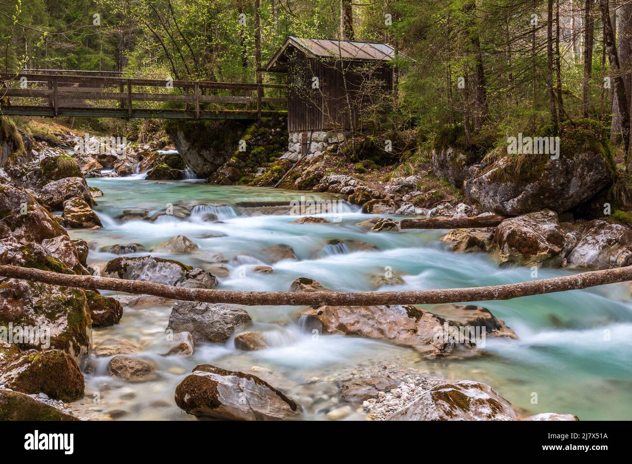 In the Zauberwald, enchanted forest, at lake Hintersee near Ramsau ...