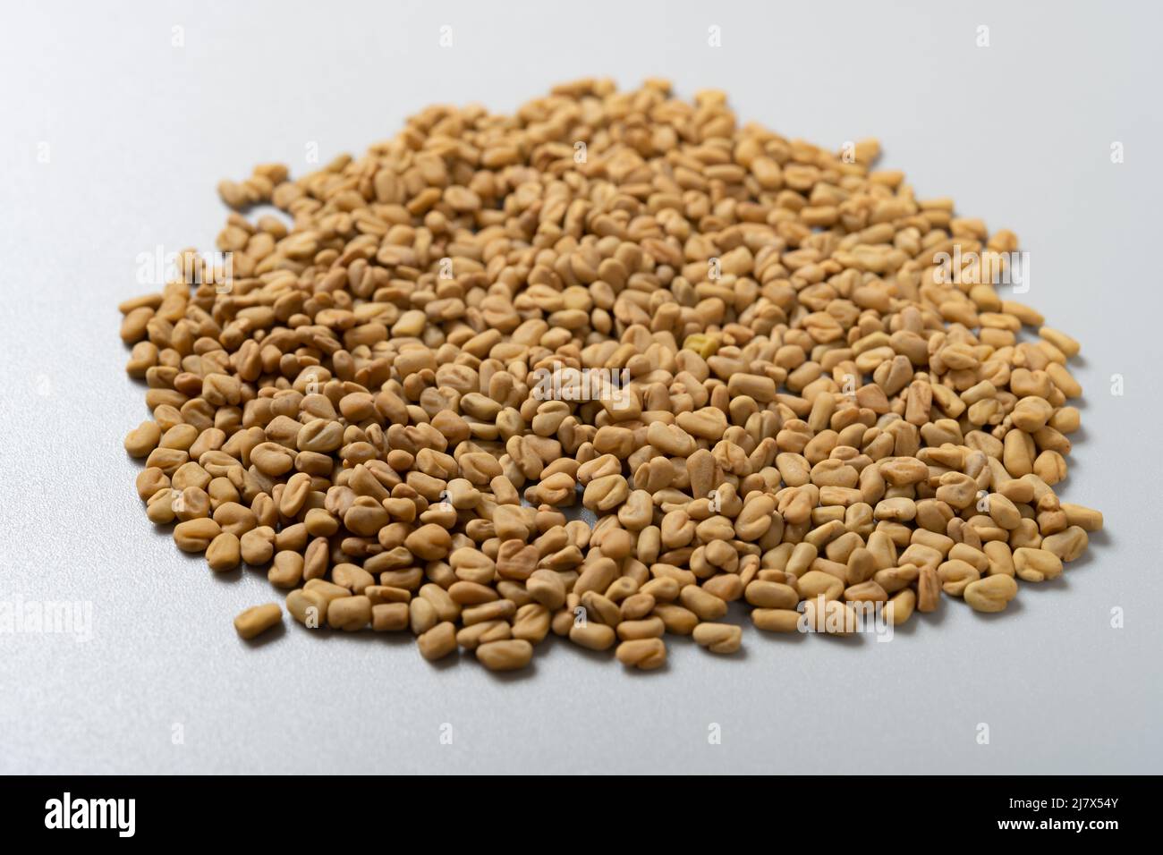 angle view herb HuLuBa or Trigonellae Semen or Common Fenugreek Seed ...