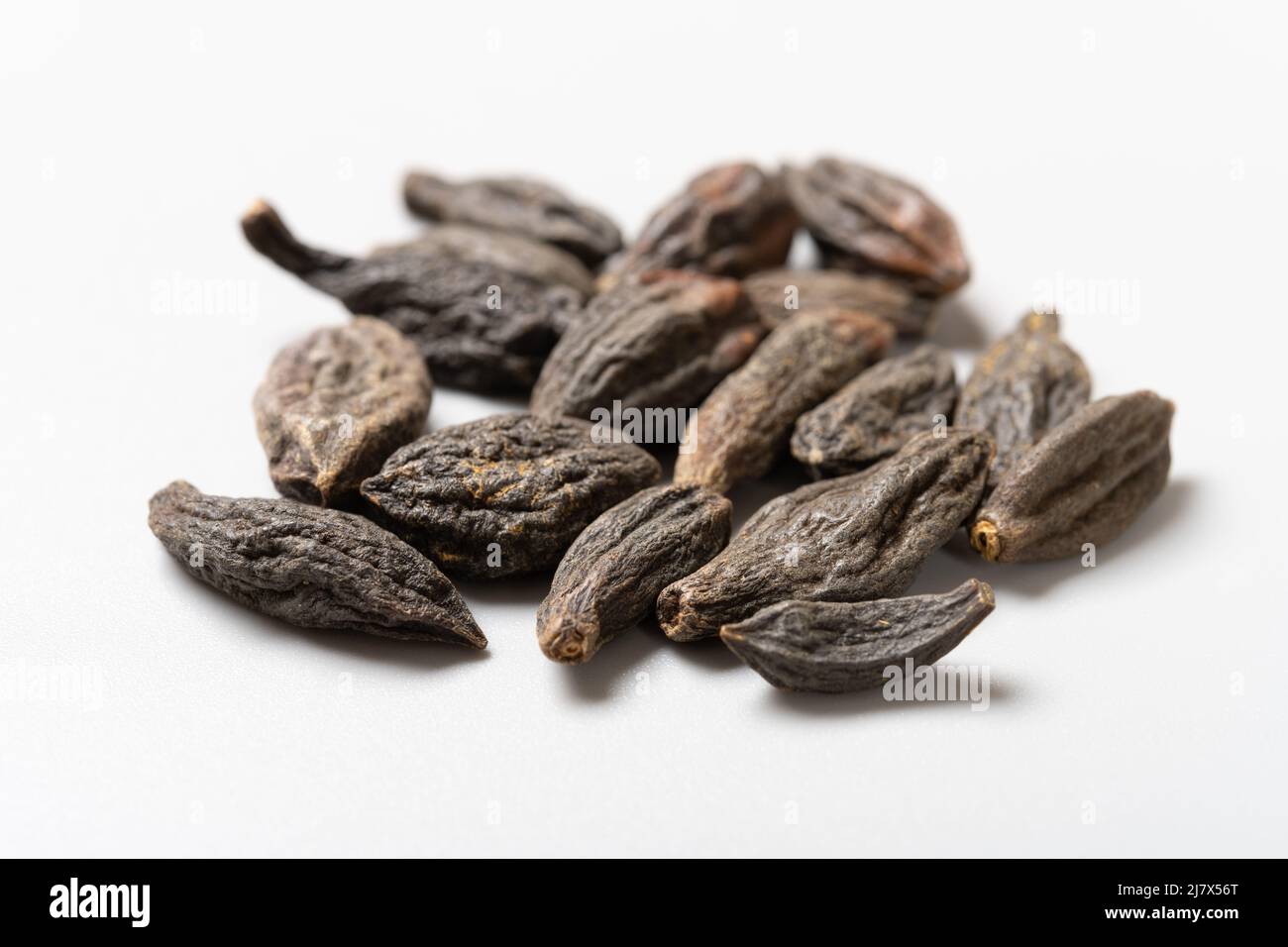 Immature fruit of medicine terminalia hi-res stock photography and ...
