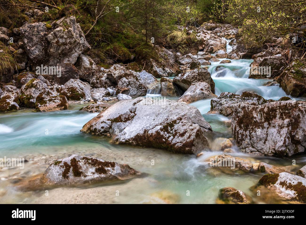 In the Zauberwald, enchanted forest, at lake Hintersee near Ramsau ...