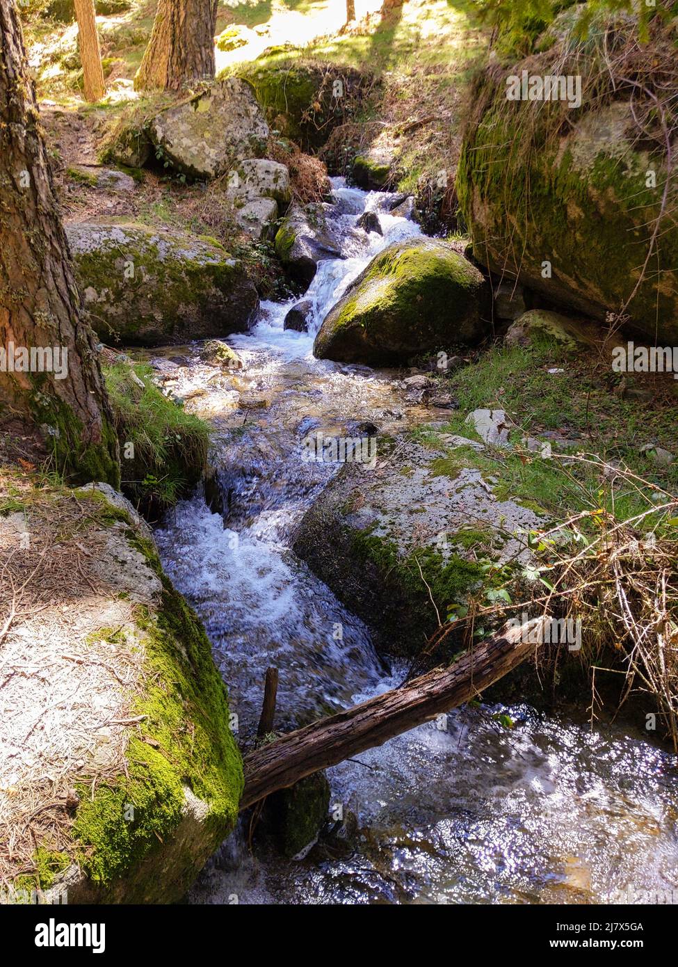 Stream with beautiful rocks hi-res stock photography and images - Alamy