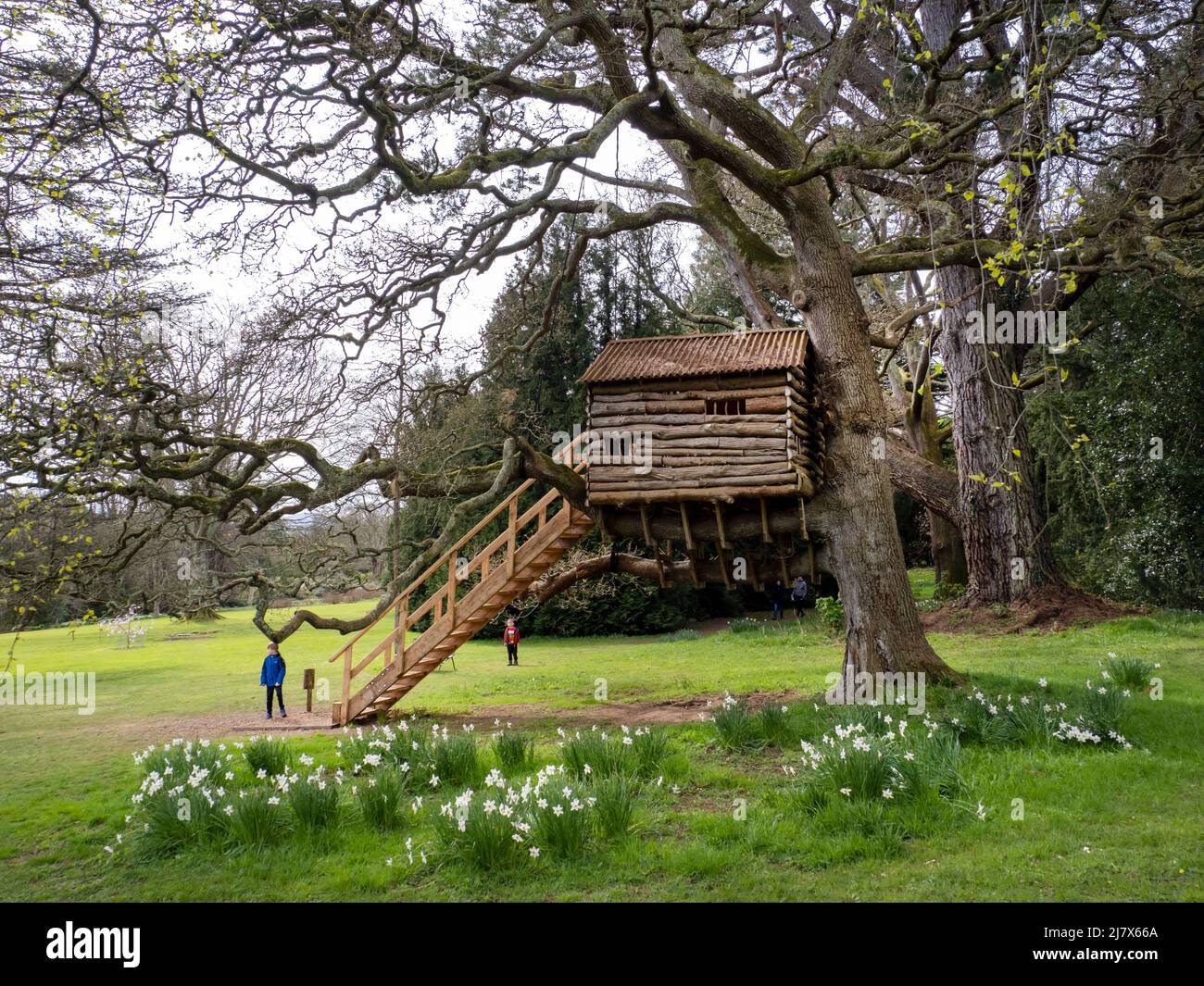 A tree house at Plas Newydd on Anglesey, Wales, UK Stock Photo - Alamy