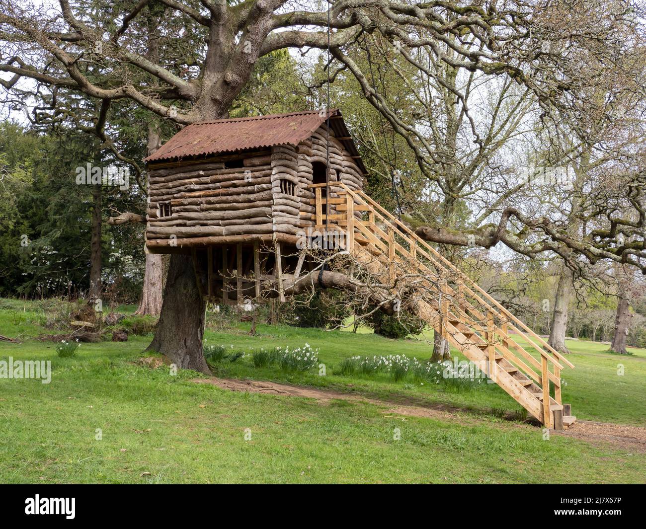 A tree house at Plas Newydd on Anglesey, Wales, UK Stock Photo - Alamy