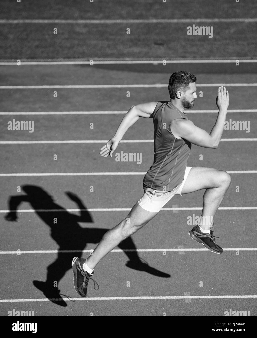 Bodybuilder muscular sprint runner sprint fit hi-res stock photography ...