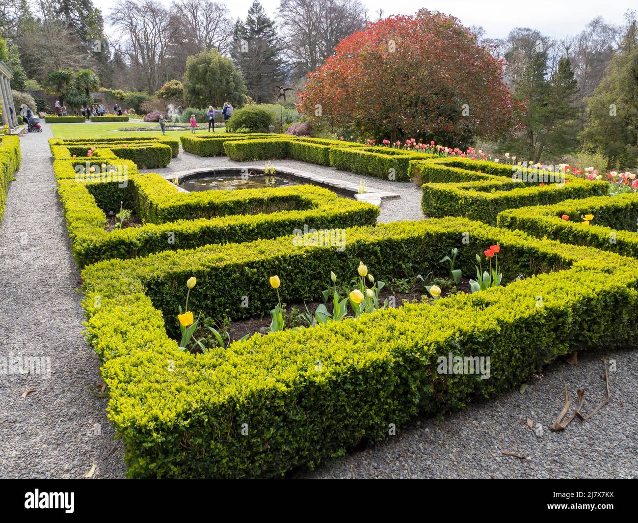 The gardens at Penrhyn Castle, Bangor, North Wales, UK Stock Photo - Alamy