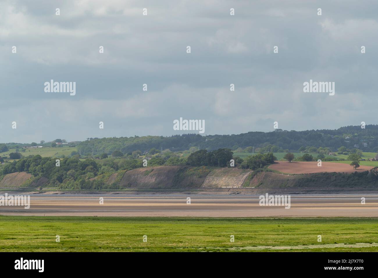 River Severn. Slimbridge WWT Stock Photo - Alamy