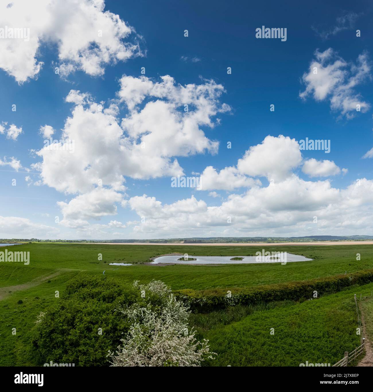 Severn estuary birds hi-res stock photography and images - Alamy