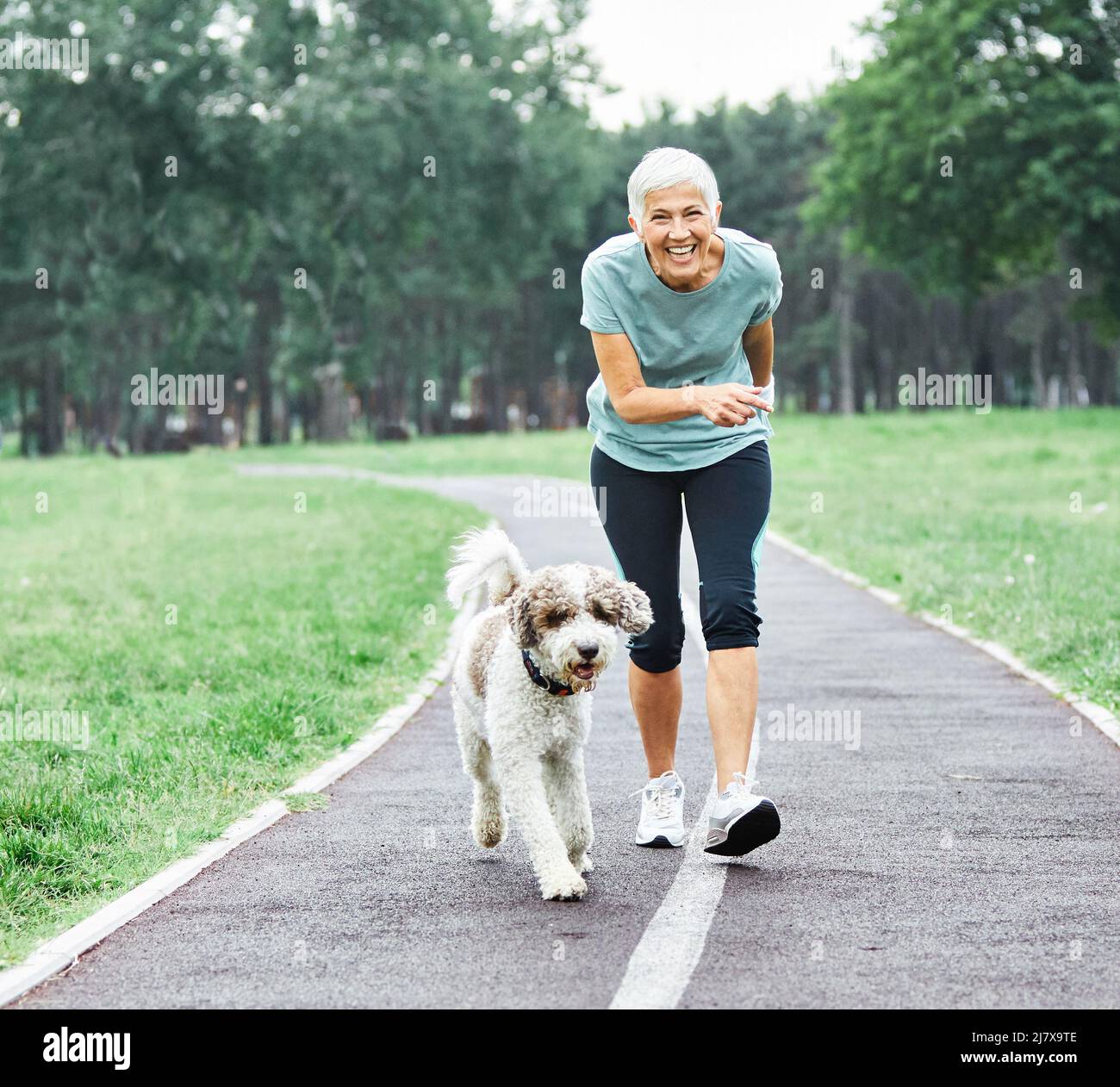 Retired happy retirement dog hi-res stock photography and images - Alamy