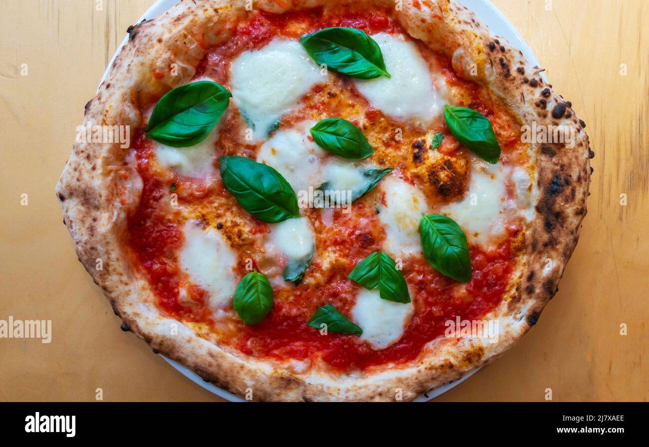 Close up of a Pizza Margherita with tomato sauce, buffalo mozzarella ...