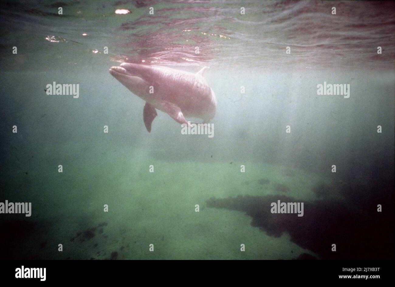 Amble in 1987 hi-res stock photography and images - Alamy