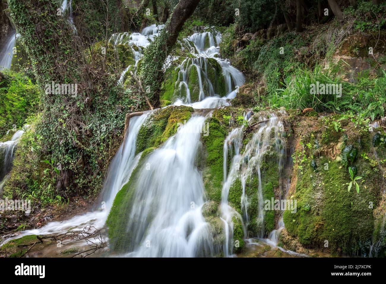 Beautiful waterfall cascade with green moss in the forest, spring ...
