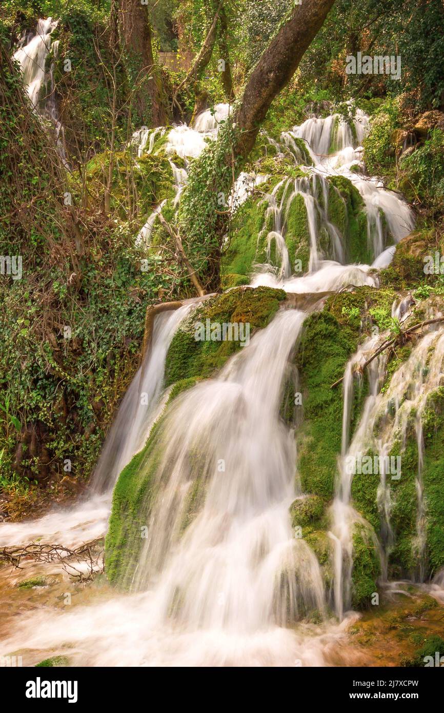 Beautiful waterfall cascade with green moss in the forest, spring ...
