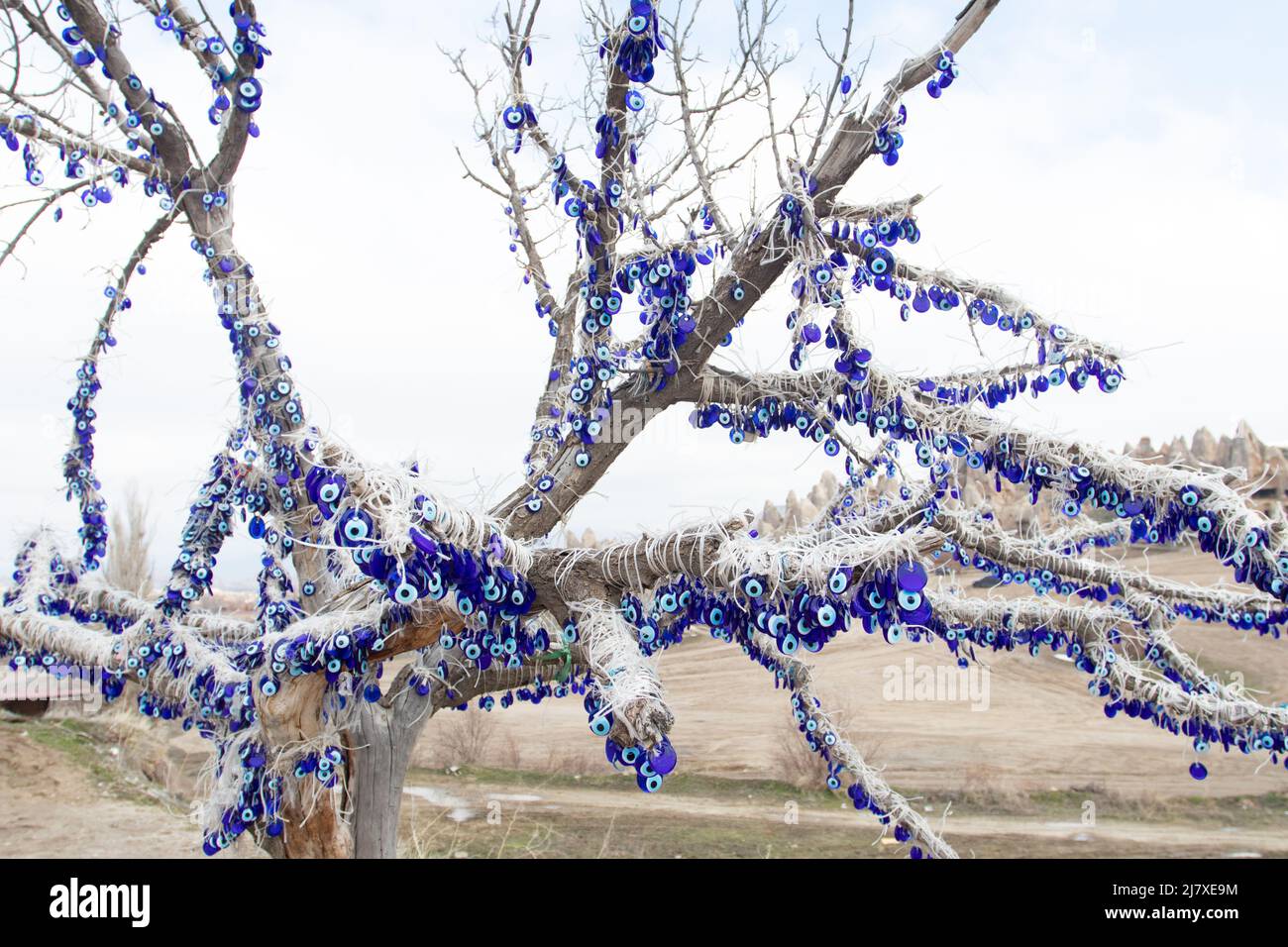 A lots of Nazar amulets from the evil eye on a tree in a sacred place ...