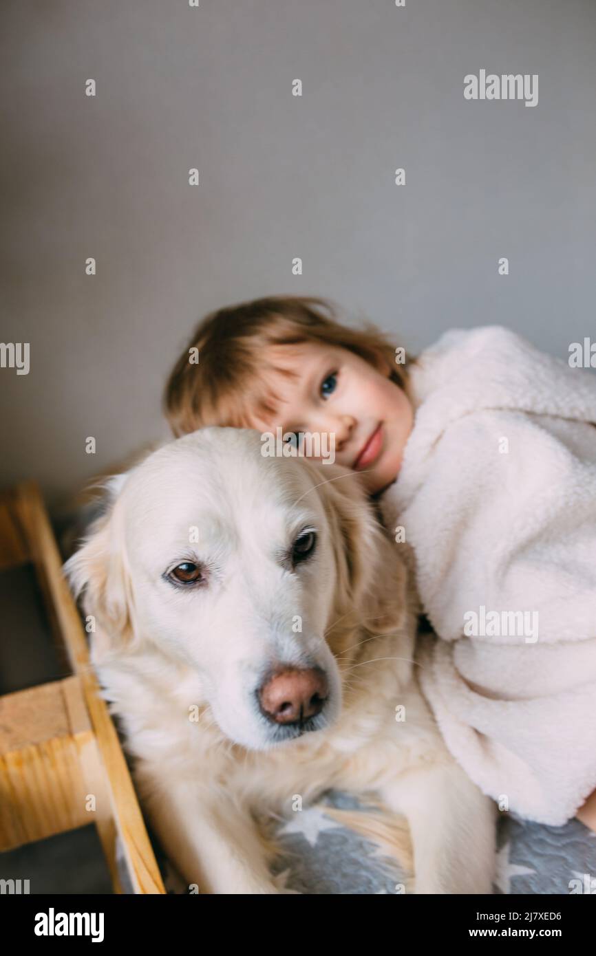 Cute baby and his labrador retriever at home on the bed Stock Photo - Alamy