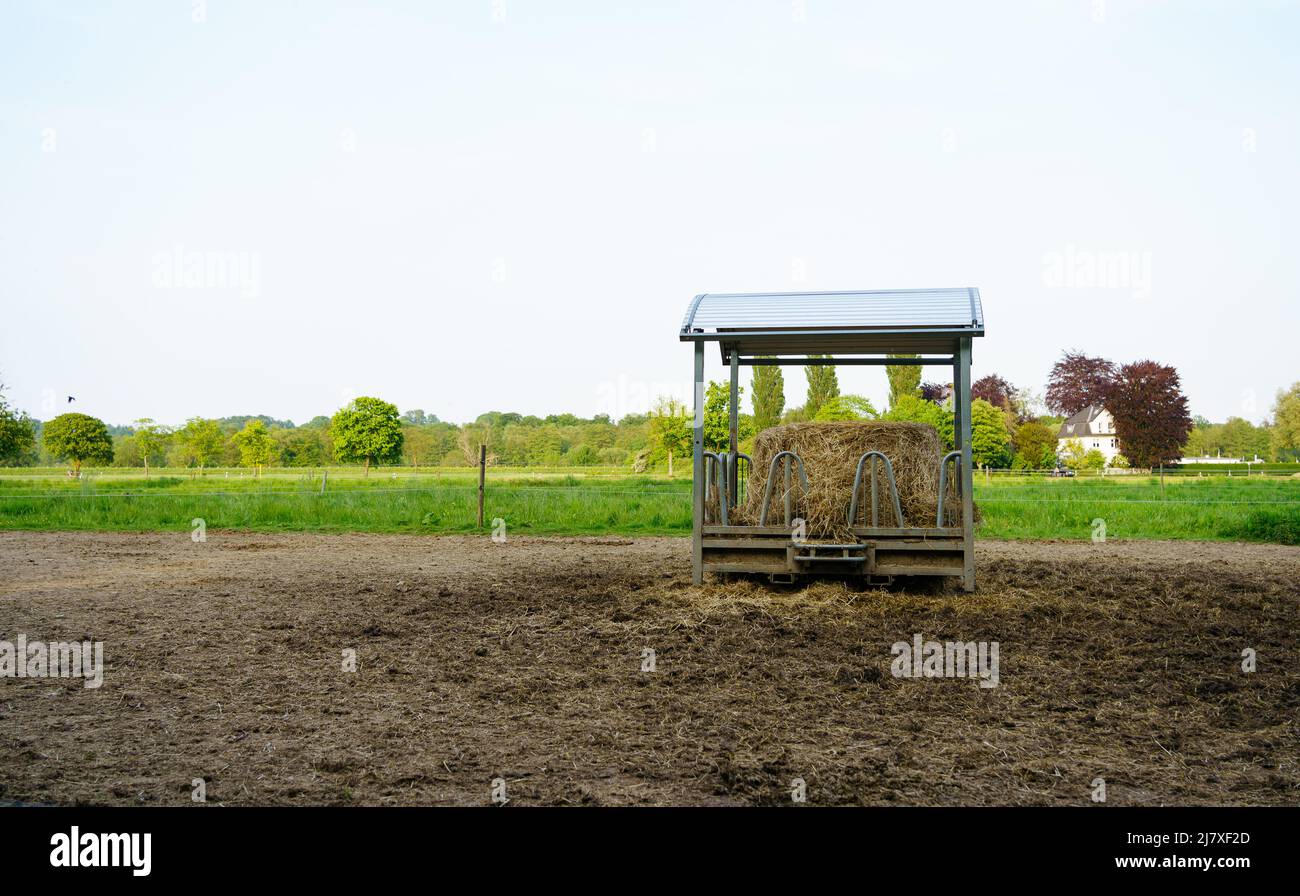 Horbes forage hay in Countryside Stock Photo - Alamy
