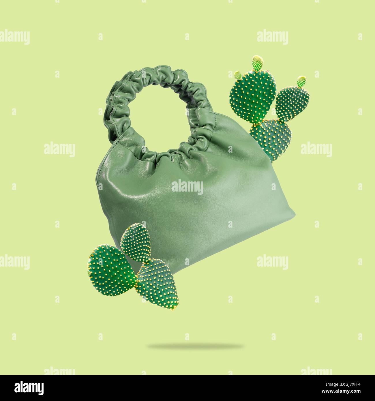 Green modern design bag made of cactus leather. A green women's bag is ...