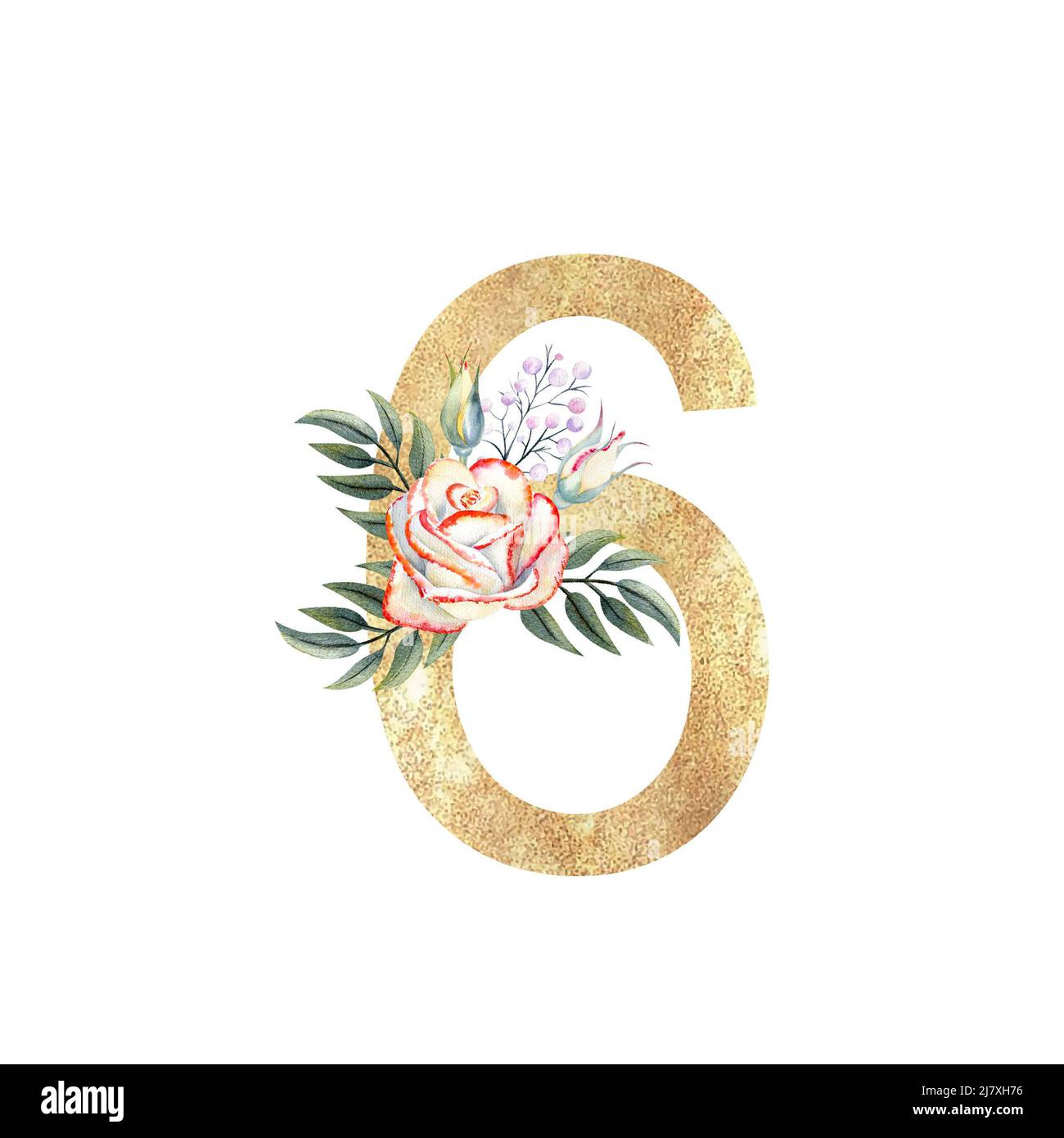 Golden number 6 with a bouquet of pink roses on a white isolated ...
