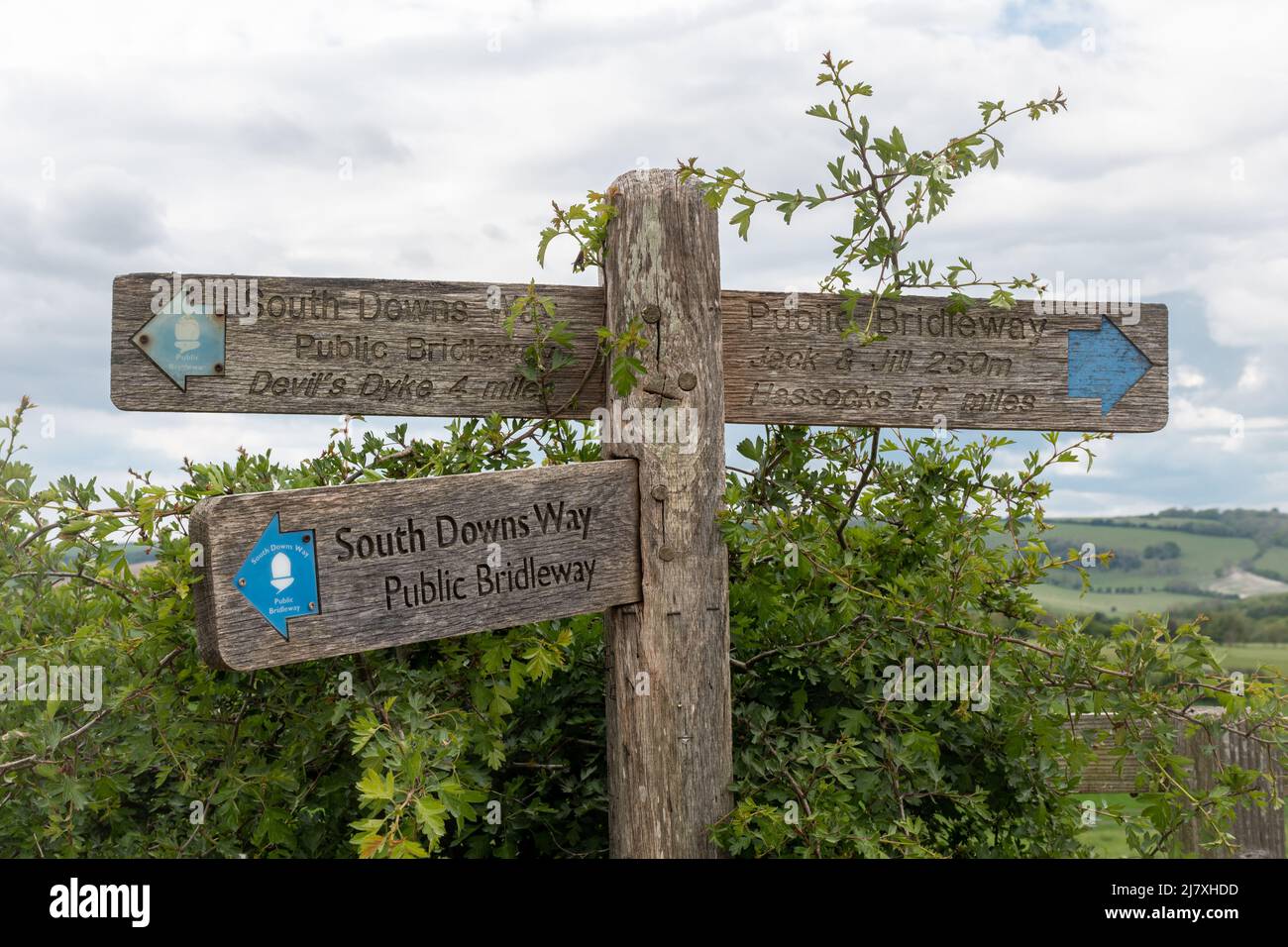 South Downs Way wooden signpost in West Sussex, England, UK, near the ...