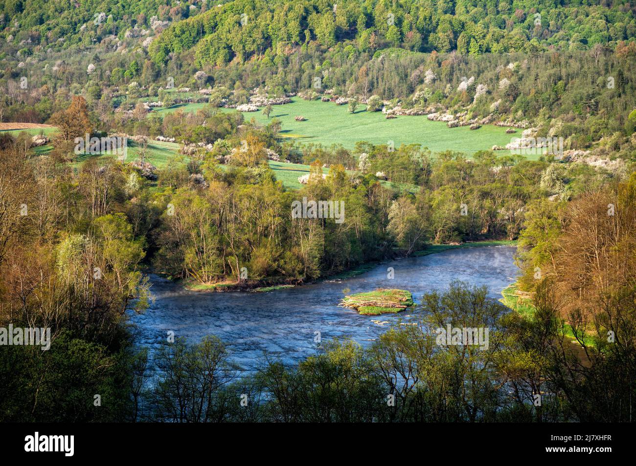 Burst of spring, nature background. The San River Valley, BIeszczady ...