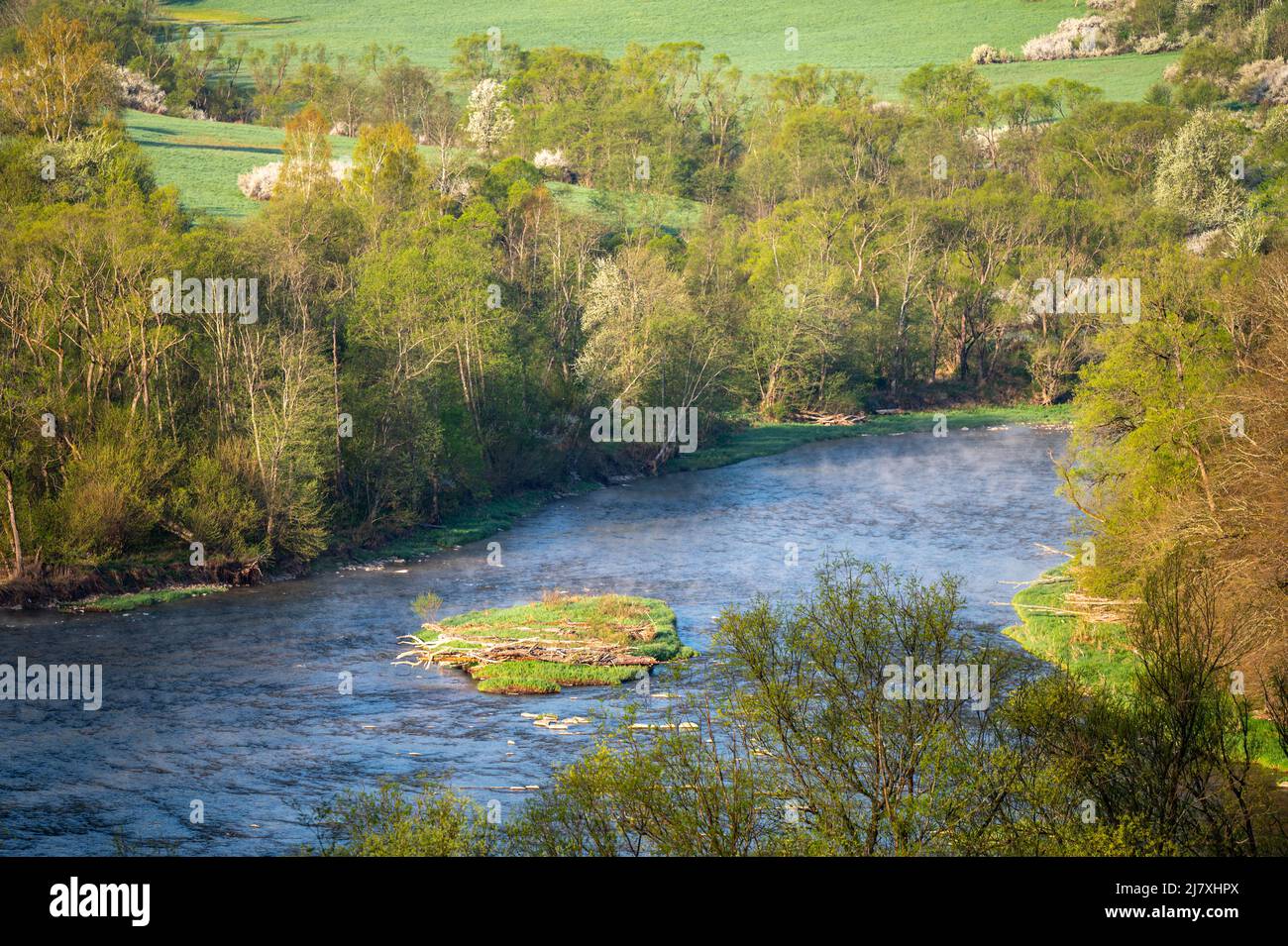 Burst of spring, nature background. The San River Valley, BIeszczady ...