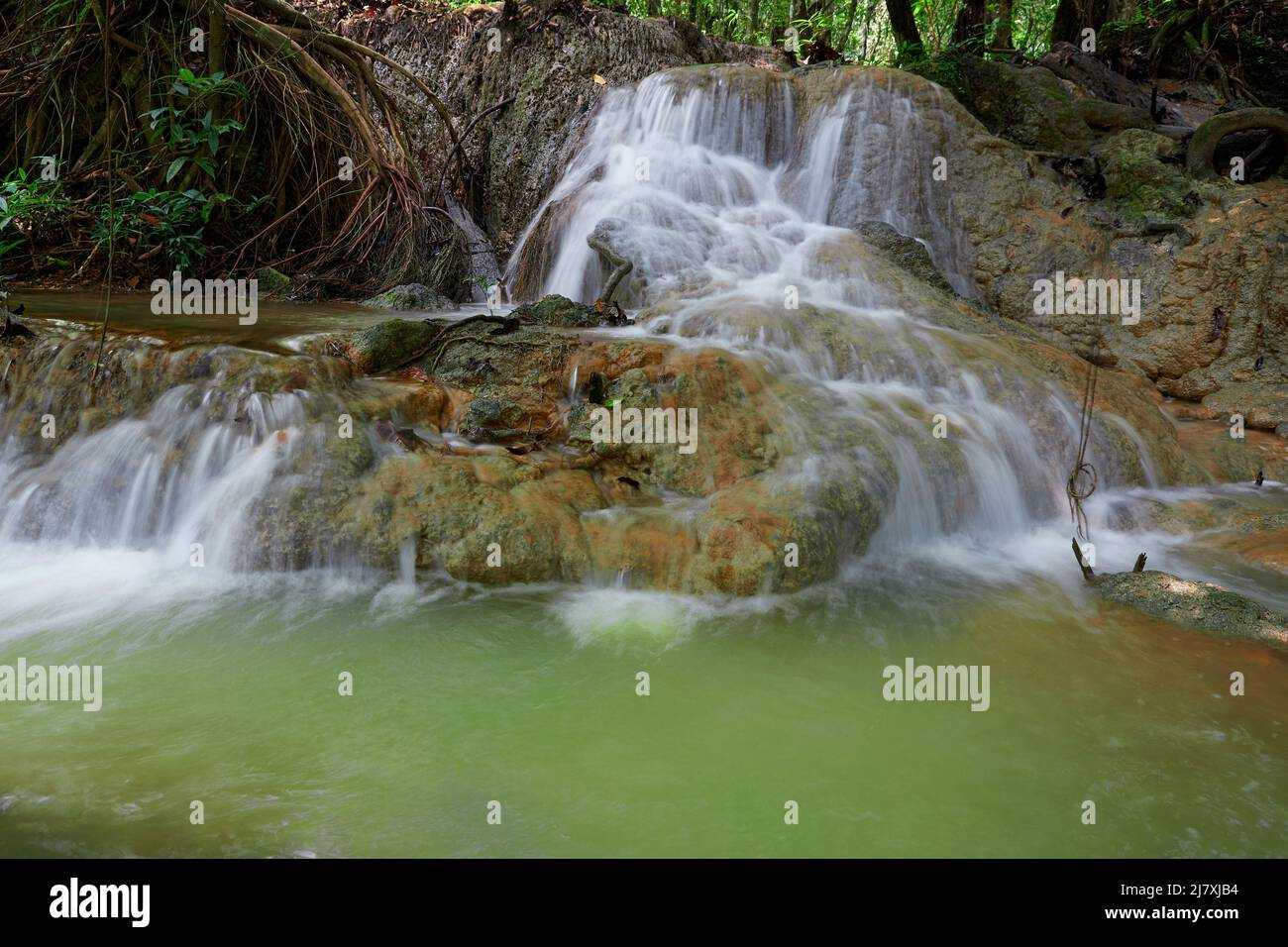 Forest water feature hi-res stock photography and images - Alamy