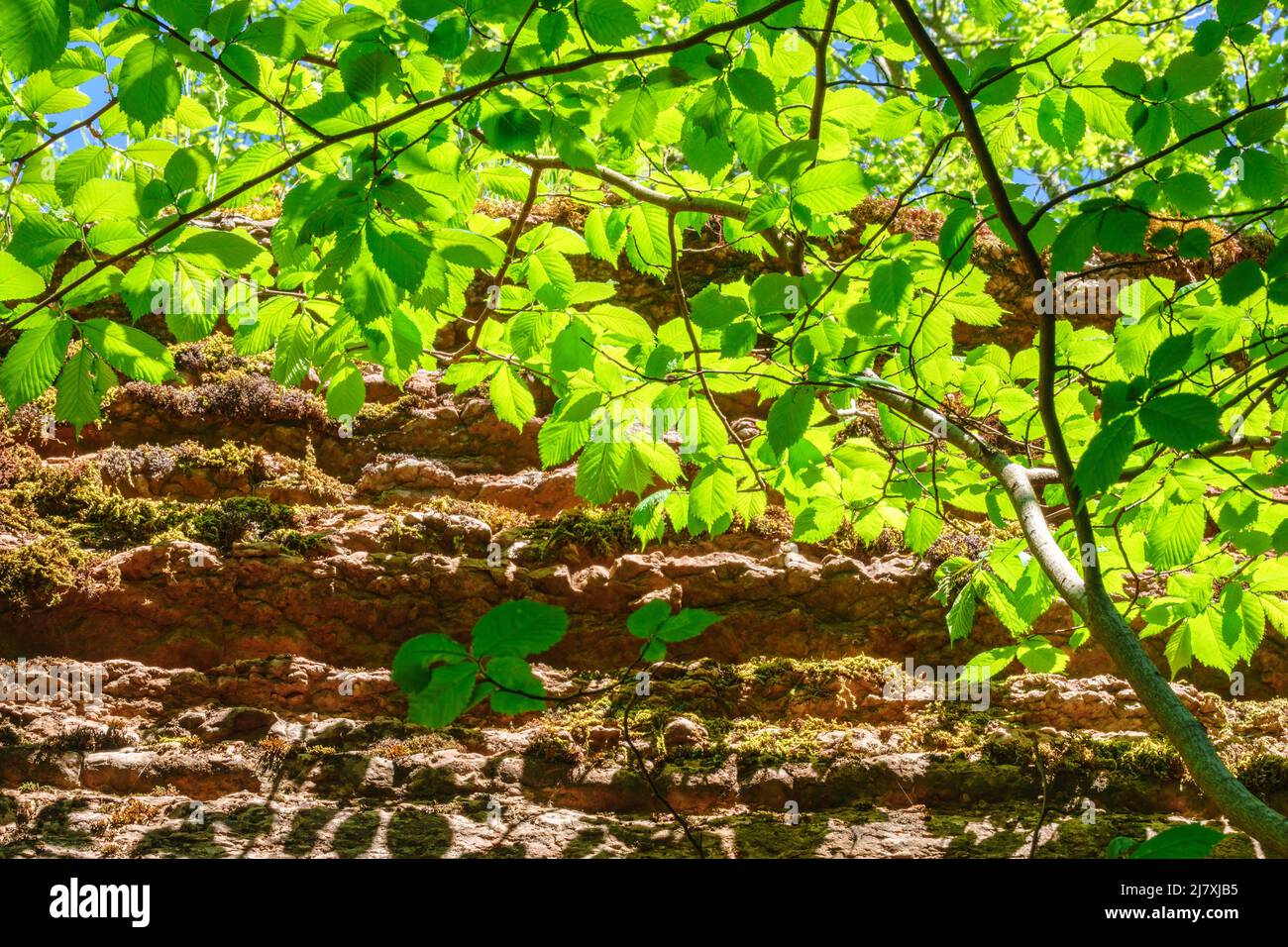 Sunlit limestone wall hi-res stock photography and images - Alamy