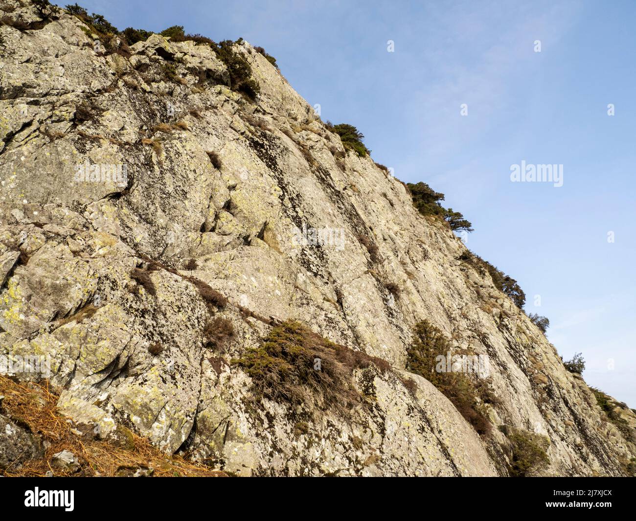 Juniper lake district hi-res stock photography and images - Alamy